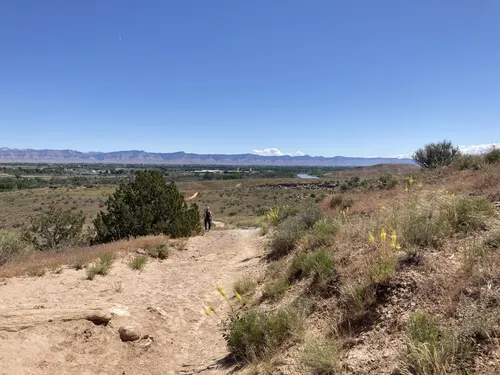 10 Best Trails and Hikes in Grand Junction | AllTrails