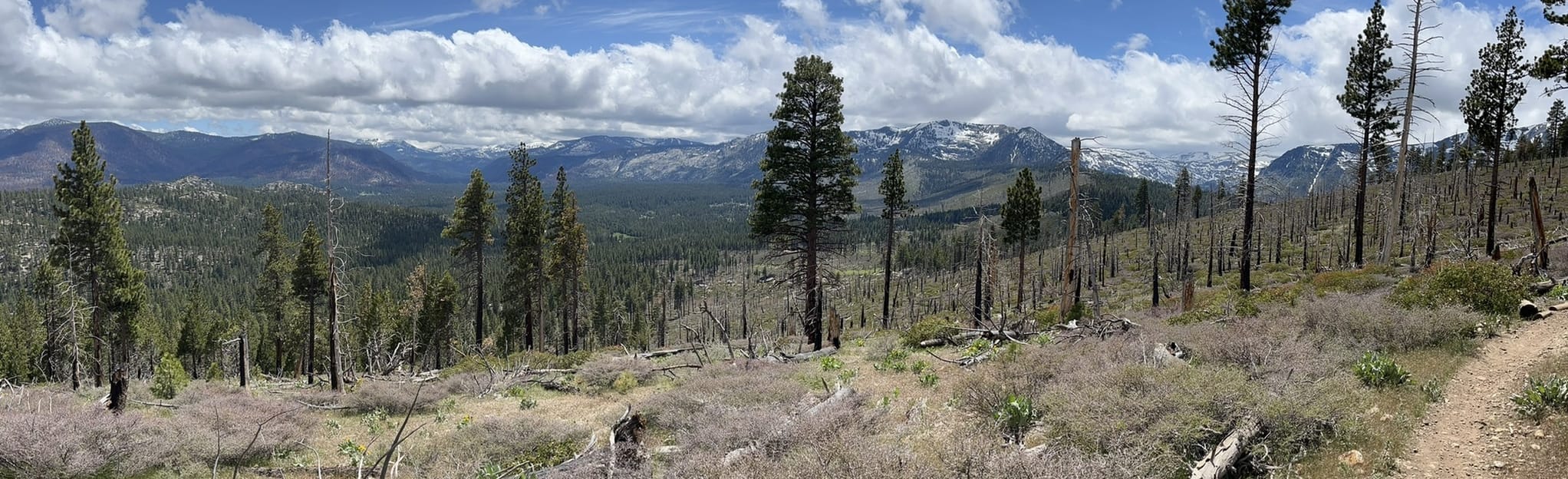 Angora Ridge Trail, California - 100 Reviews, Map | AllTrails