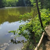 Saunders Springs Reservoir Loop, Kentucky - 132 Reviews, Map | AllTrails