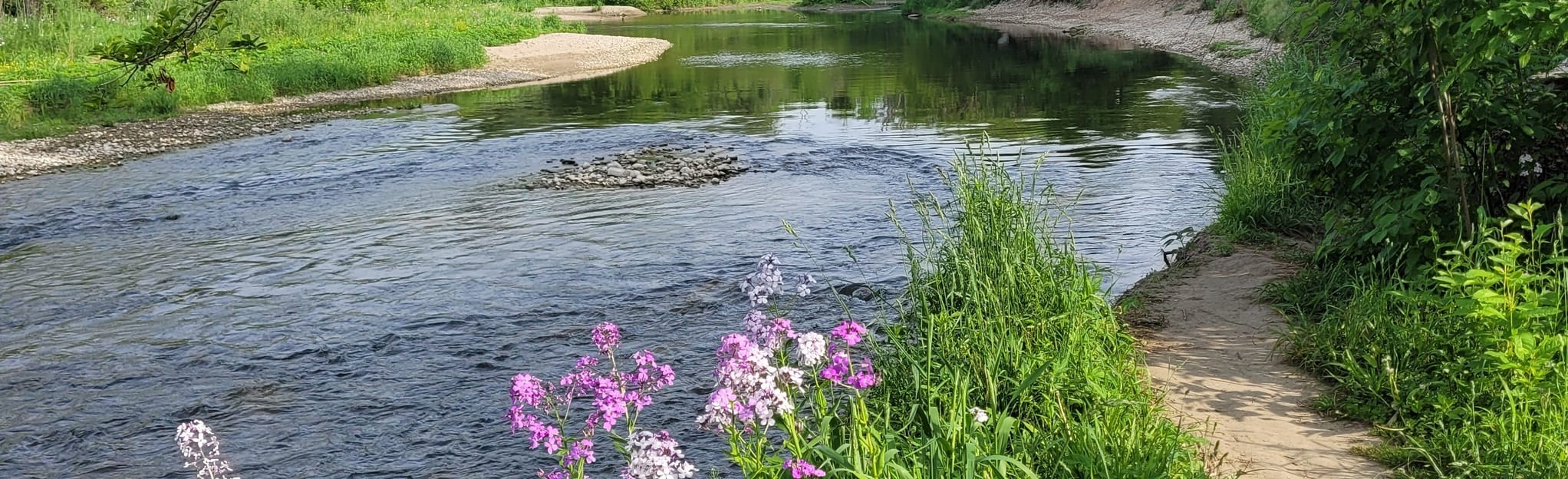 Ayr Trail: 51 Reviews, Map - Ontario, Canada | AllTrails