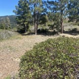 PCT: CA Section M - Highway 49 to Belden, California - 53 Reviews, Map ...