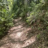 PCT: CA Section M - Highway 49 to Belden, California - 53 Reviews, Map ...