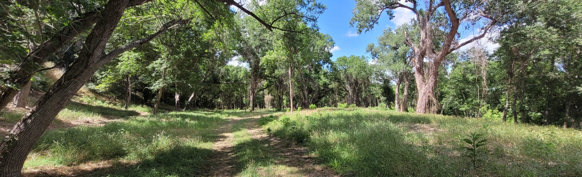 Hyatt Lost Pines Trail, Texas - 87 Reviews, Map | AllTrails