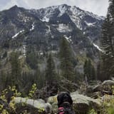 Boulder Falls Trail, Montana - 76 Reviews, Map | AllTrails