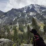 Boulder Falls Trail, Montana - 76 Reviews, Map | AllTrails