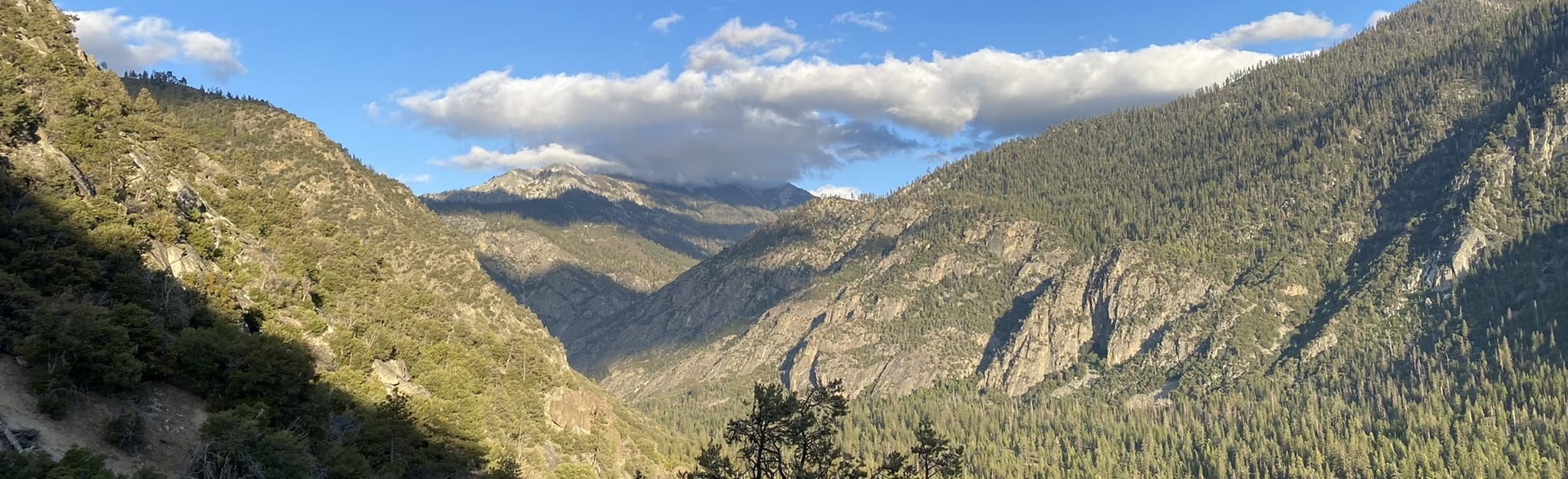 East Kennedy Lake Trail: 3 Reviews, Map - California | AllTrails