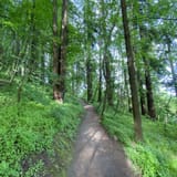 Cooks Butte Loop, Oregon - 399 Reviews, Map | AllTrails