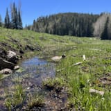 Whipple Trail, Utah - 243 Reviews, Map | AllTrails