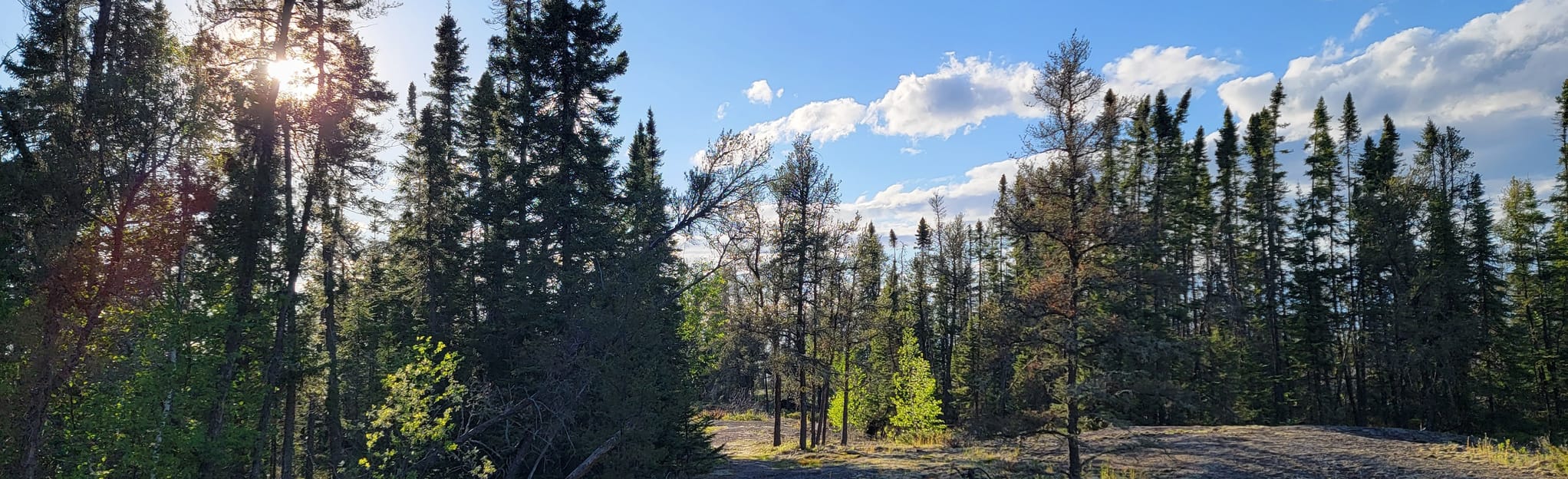 Jessica Lake Loop C : 54 Photos - Manitoba, Canada | Randonnée | AllTrails