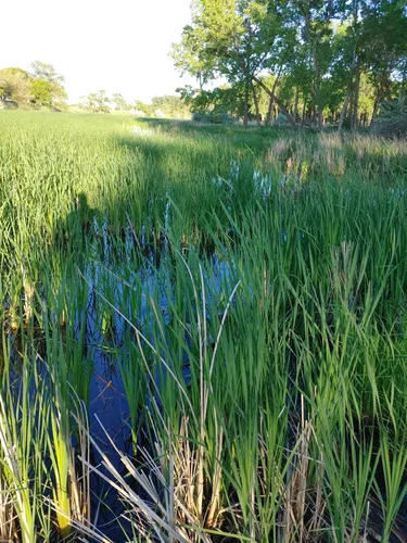 Best Hikes and Trails in Pierson Ranch Recreation Area | AllTrails