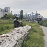 Seattle Waterfront Pathway, Washington - 713 Reviews, Map | AllTrails