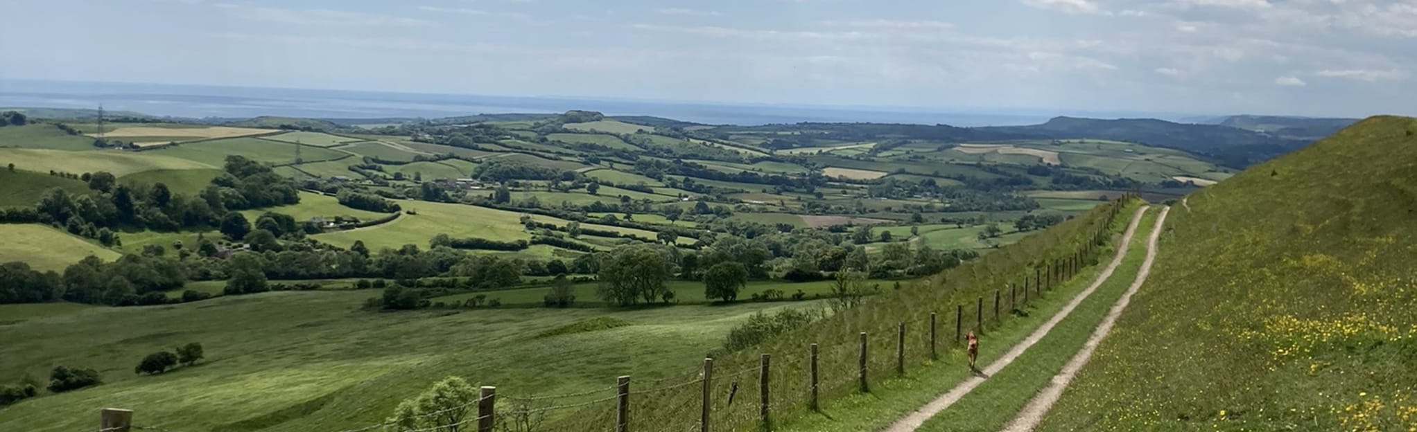 Eggardon Hill and Nettlecombe Circular - Dorset, England | AllTrails