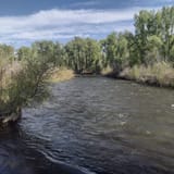 Neversink Trail, Colorado - 194 Reviews, Map | AllTrails