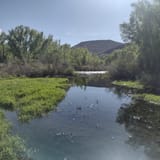 Neversink Trail, Colorado - 194 Reviews, Map | AllTrails