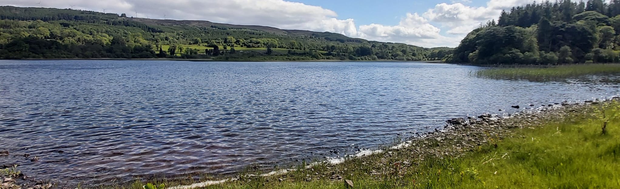 Kilronan Castle and Lake Meelagh Loop, County Roscommon, Ireland - 14 ...