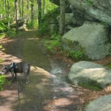 Jakes Rock Overlook, Pennsylvania - 186 Reviews, Map | AllTrails