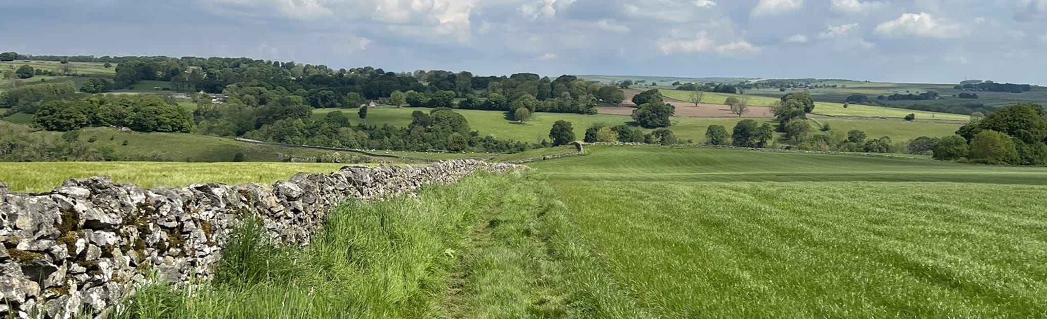 Chee Dale Gorge Circular, Derbyshire, England - 1,258 Reviews, Map ...