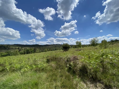 Best 10 Hikes and Trails in High Weald Area of Outstanding Natural ...