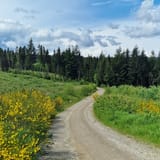 The Cateran Trail, Perth and Kinross, Scotland - 25 Reviews, Map ...