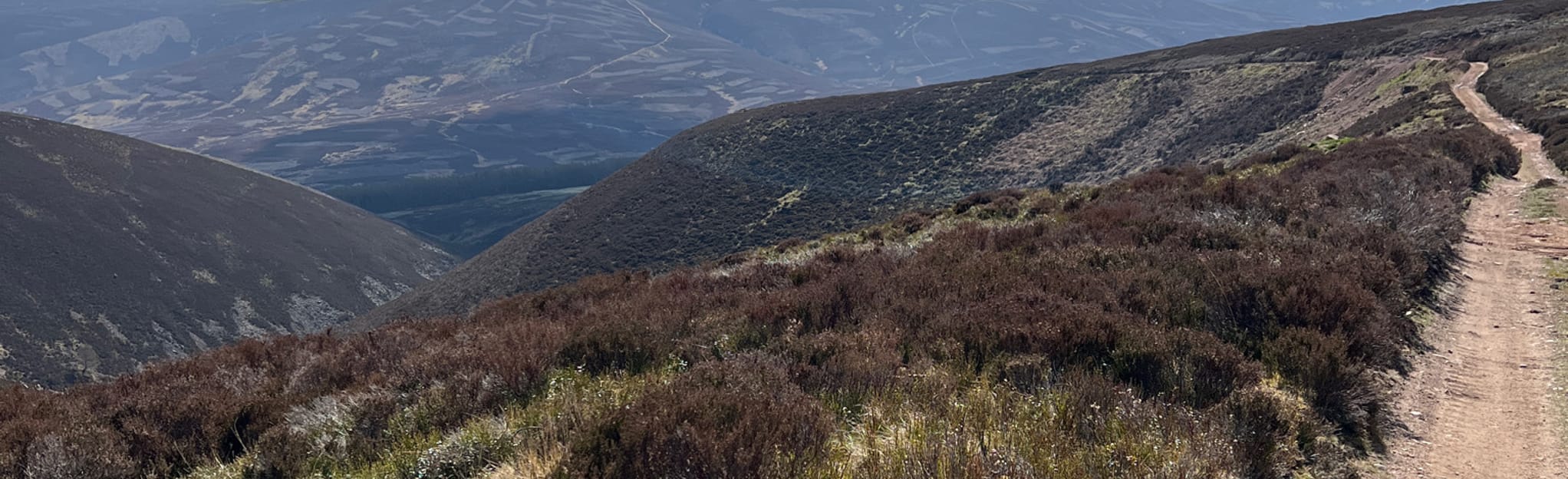 Forest of Birse Kirk Circular, Aberdeenshire, Scotland - 2 Reviews, Map ...