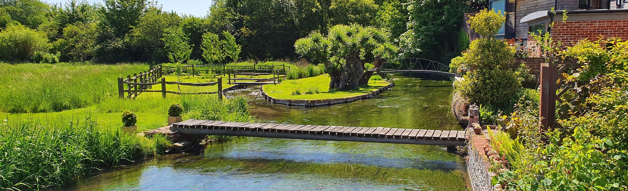 Beacon Hill and Exton Circular: 301 Reviews, Map - Hampshire, England ...