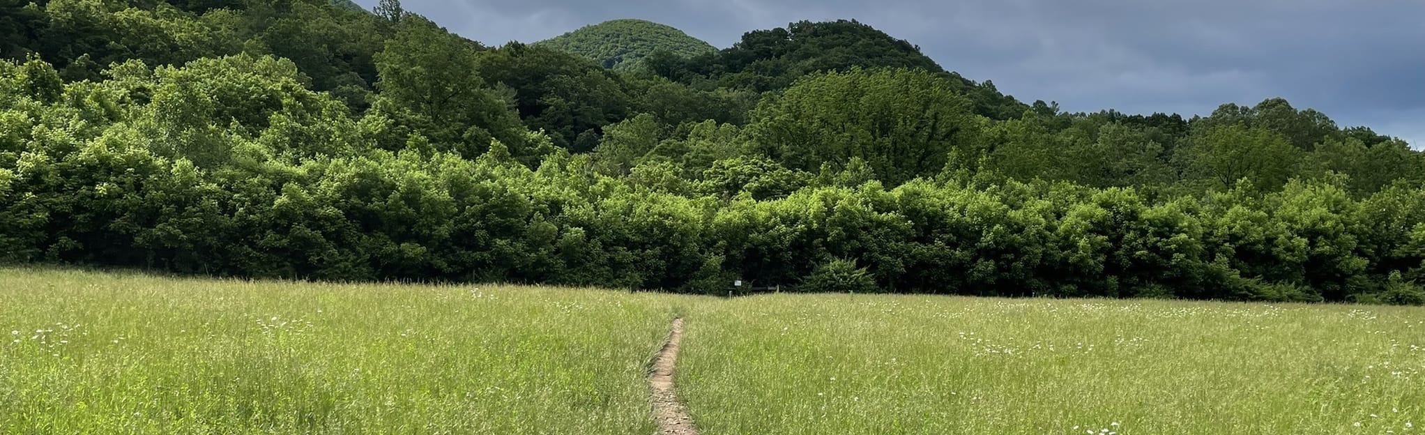 Tinker Cliffs via Andy Layne Trail, Virginia - 1,545 Reviews, Map ...