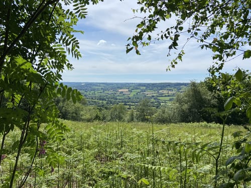 Best 10 Hikes and Trails in Blackdown Hills Area of Outstanding Natural ...