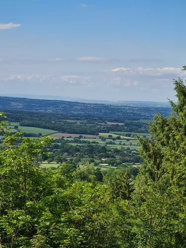 10 Best Forest Trails in Blackdown Hills National Landscape (AONB ...