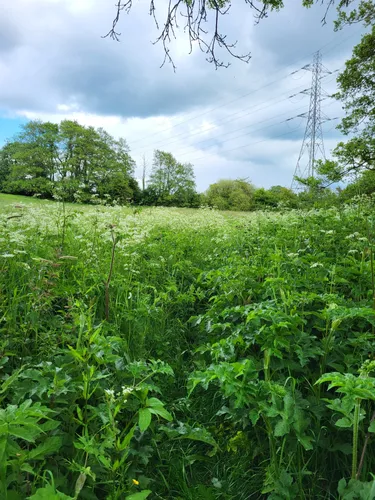 10 Best Easy Trails in Howardian Hills National Landscape (AONB ...