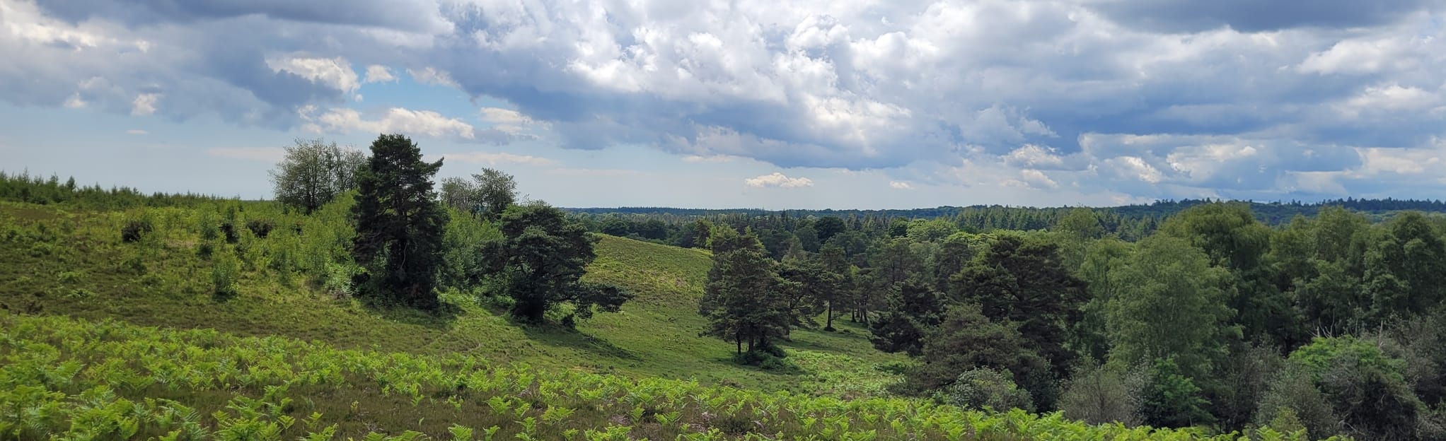 Acres Down and Canadian War Memorial, Hampshire, England - 229 Reviews ...