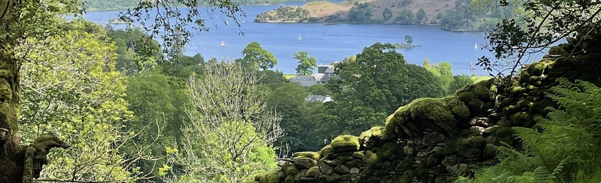 Red Tarn Circular: 27 Reviews, Map - Cumbria, England | AllTrails