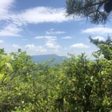 Slacks Trail [CLOSED], Virginia - 34 Reviews, Map | AllTrails