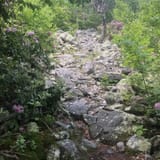 Slacks Trail [CLOSED], Virginia - 34 Reviews, Map | AllTrails