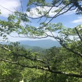 Slacks Trail [CLOSED], Virginia - 34 Reviews, Map | AllTrails