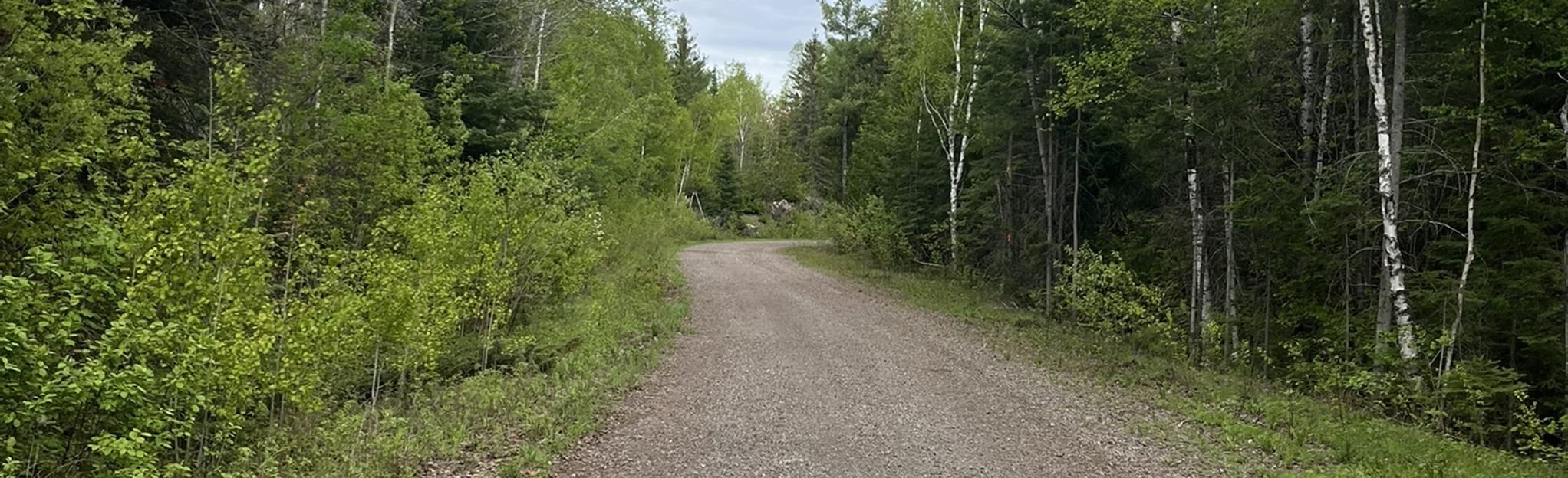 Steep Rock Lake OHV Loop: 3 Reviews, Map - Ontario, Canada | AllTrails