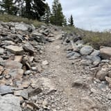 Brockway Summit to Mount Baldy Loop, California - 183 Reviews, Map ...