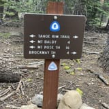 Brockway Summit to Mount Baldy Loop, California - 183 Reviews, Map ...