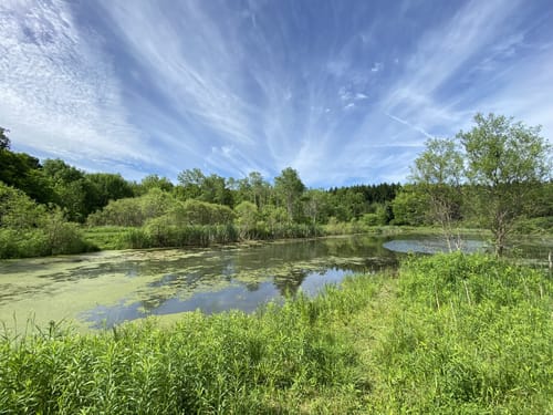 Best Hikes and Trails in Genesee County Park and Forest | AllTrails