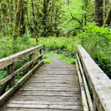 Maple Glade Nature Trail, Washington - 196 Reviews, Map | AllTrails