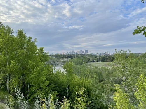 2023 Best 10 Dog Friendly Trails in Calgary | AllTrails