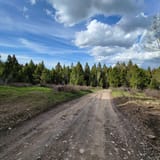 Packsaddle Lake, Idaho - 204 Reviews, Map | AllTrails