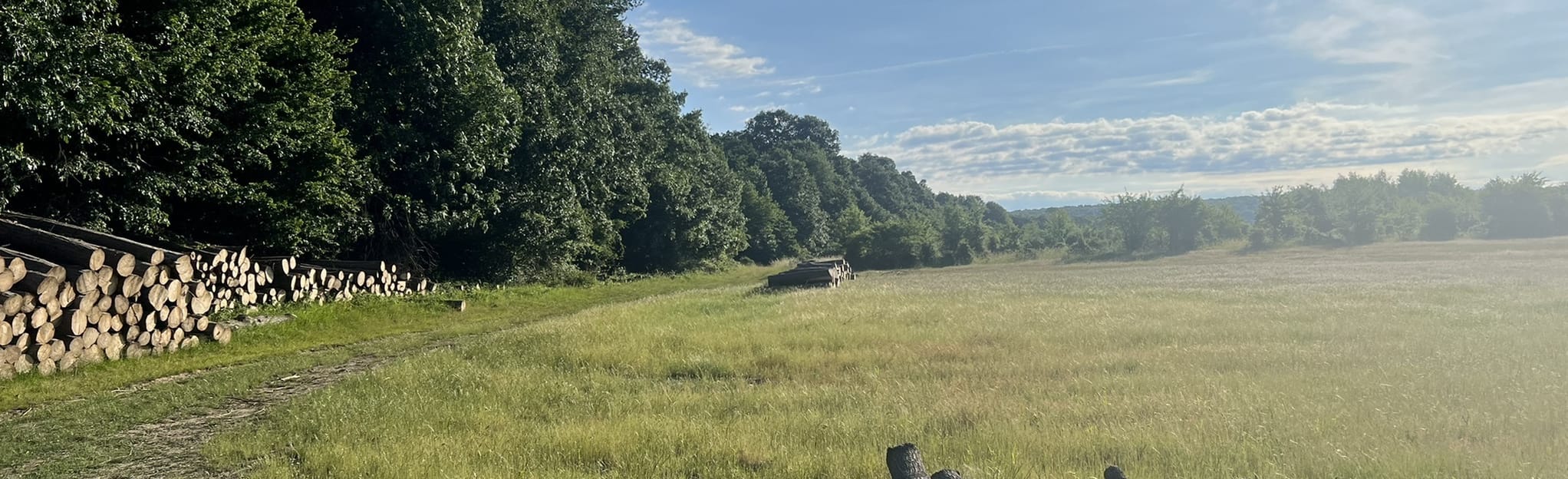 Vérteskozma – Várgesztes Loop: 2 Reviews, Map - Fejér, Hungary | AllTrails