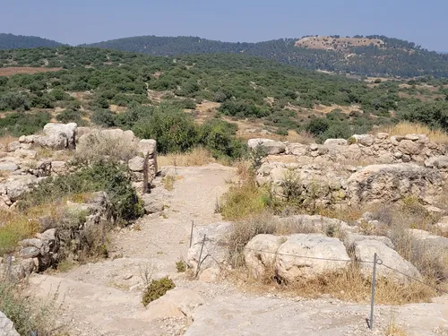10 Best Hikes and Trails in Valley of Elah National Park | AllTrails