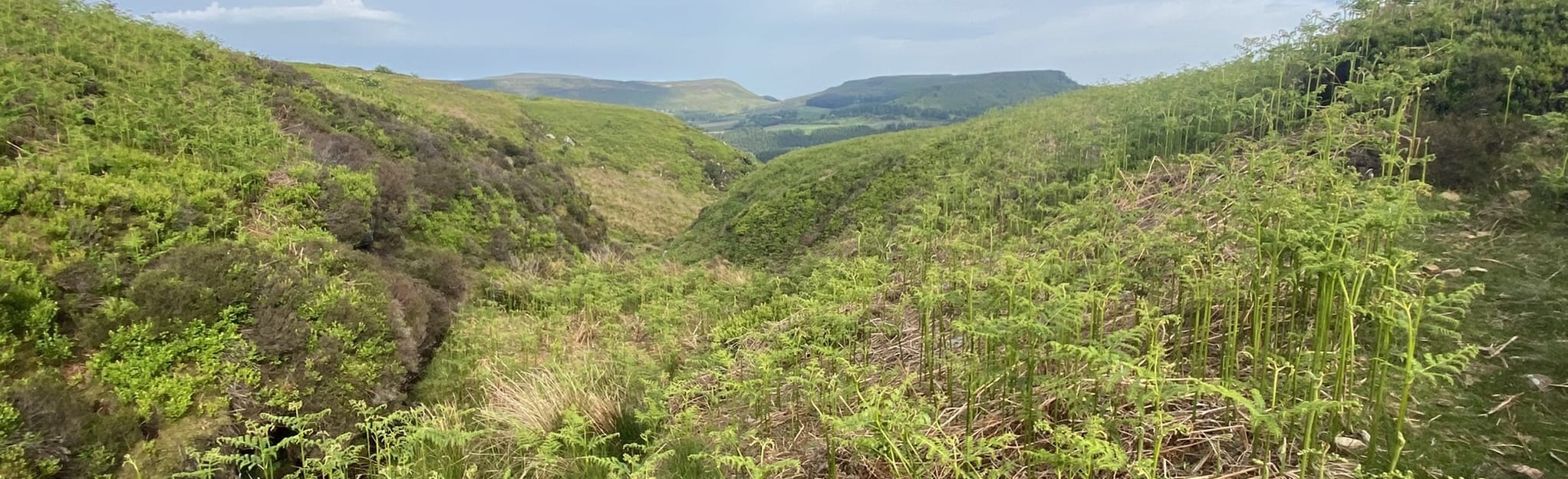 Hasty Bank, Carlton Bank, Cold Moor, and Clay Bank Top Circular: 30 ...