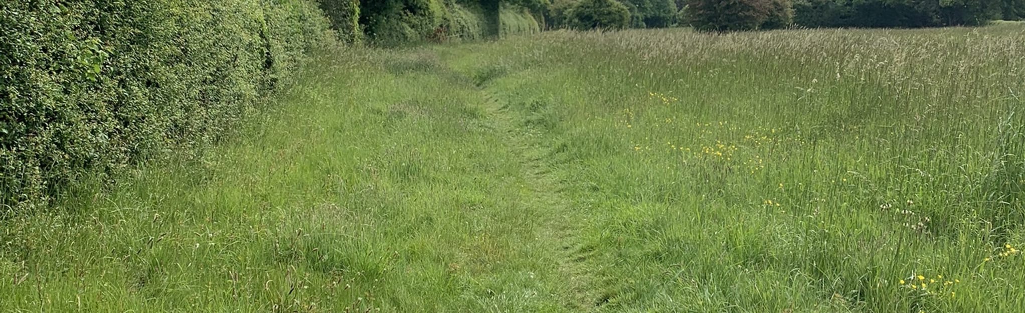 Mulbarton, Bracon Ash and Hethel Circular - Norfolk, England | AllTrails
