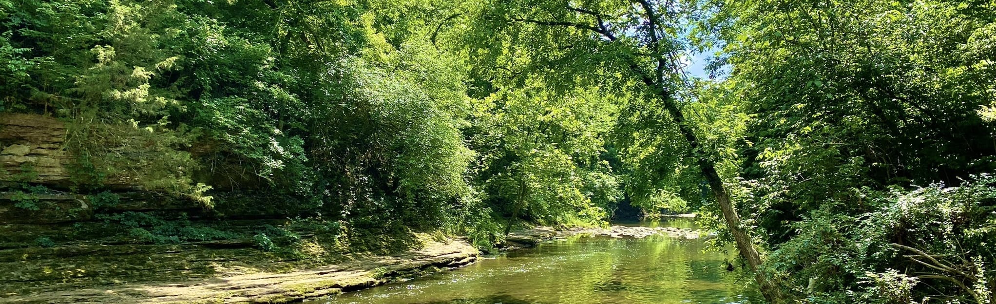 Warrior Bike Trail: 43 Reviews, Map - Tennessee | AllTrails