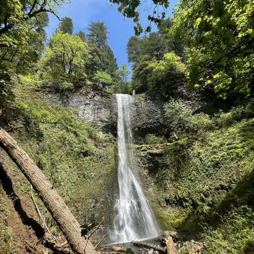 2023 Best 10 Trails and Hikes in Oregon | AllTrails