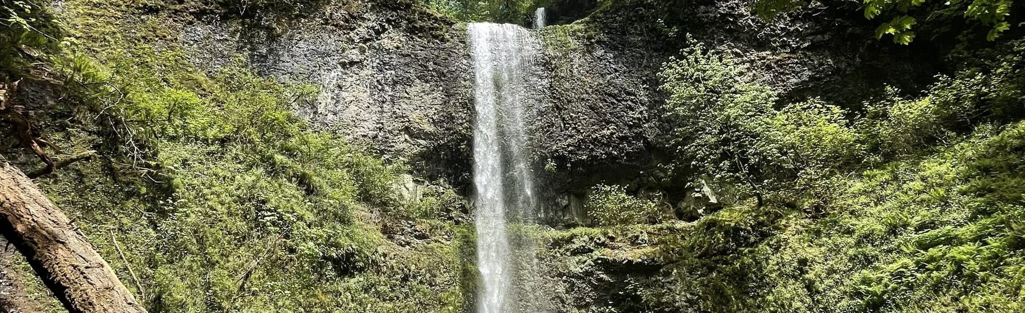 Silver Falls Canyon Trail Shorter Loop from Winter Falls Trailhead ...