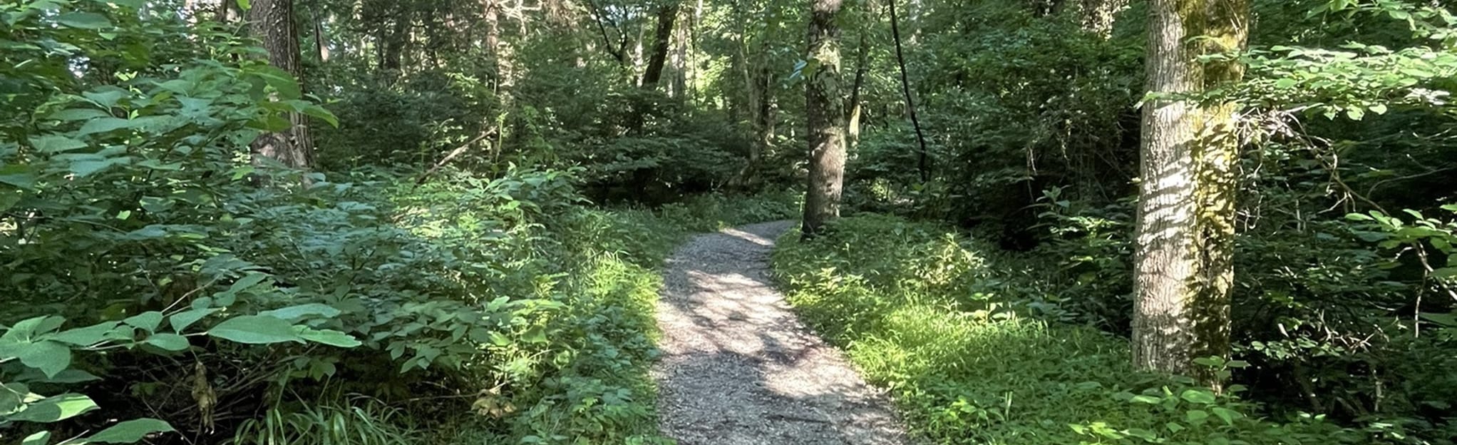 Nine Penny Branch Overlook: 14 Reviews, Map - Indiana | AllTrails
