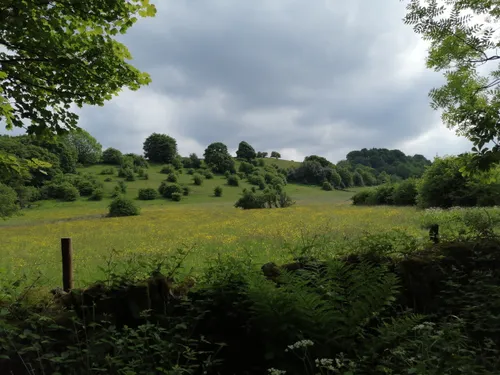 10 Best Trails, Walks, and Paths in Sheffield | AllTrails